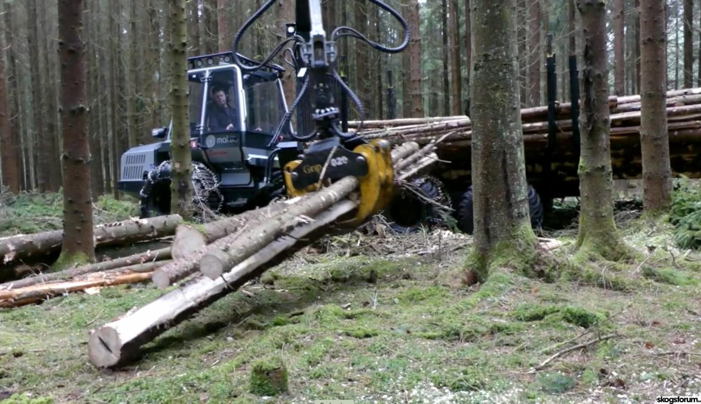 Good market for small forwarders in 2022 - NordicWoodJournal