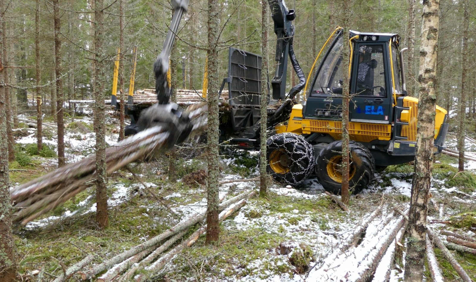 Eco Log 1050F in young thinning – the last 10-tonner? - NordicWoodJournal