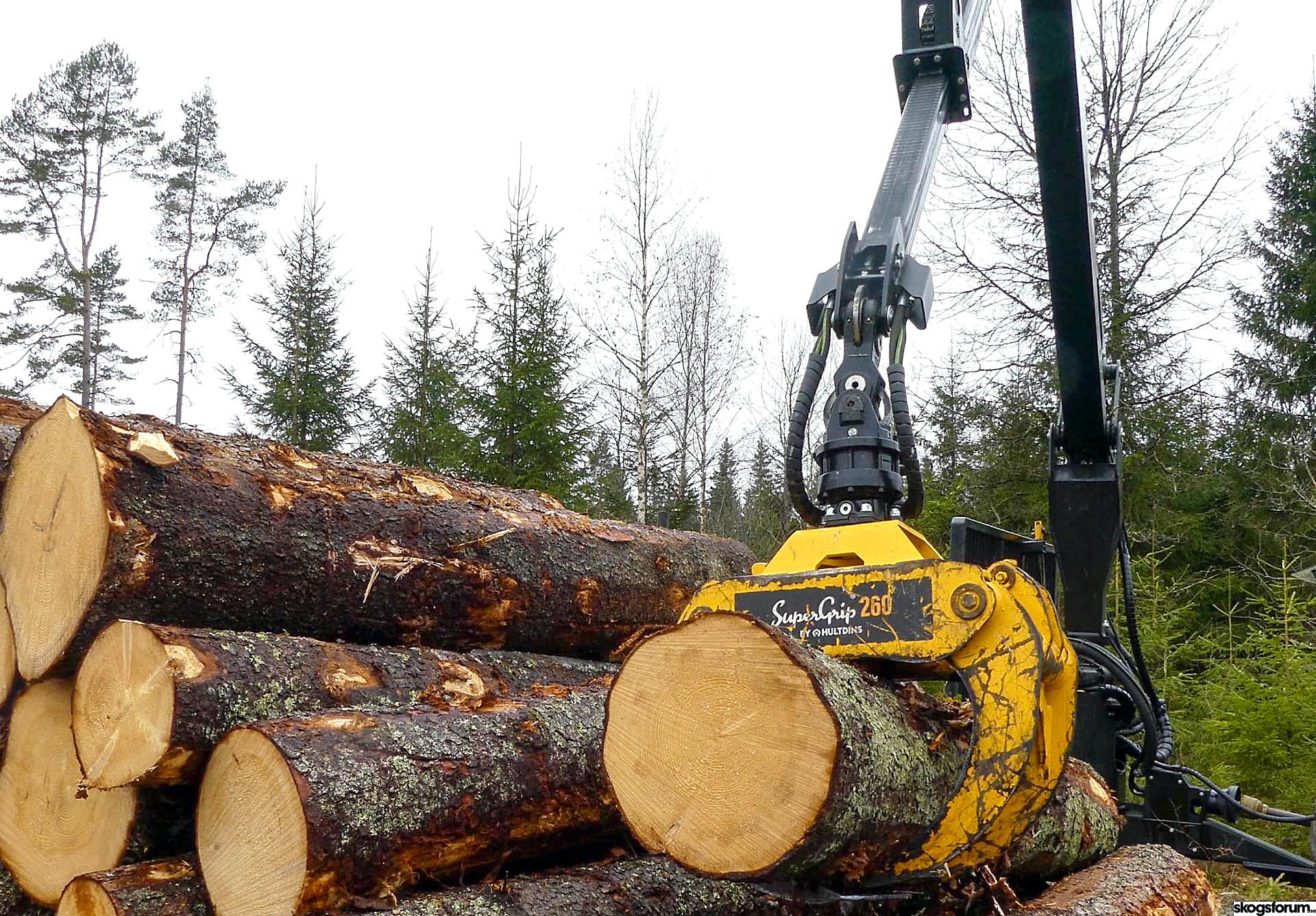 MOWI P81DT – a new large loader from FTG Cranes - NordicWoodJournal