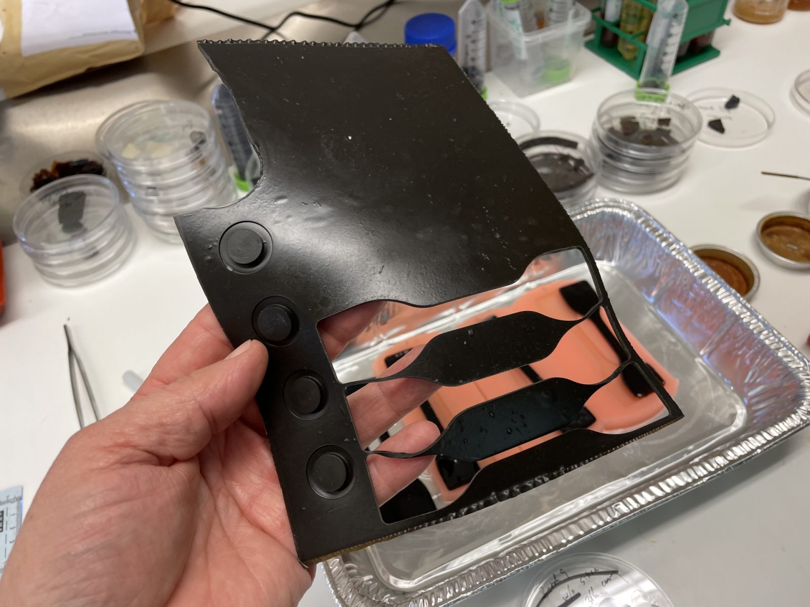 Stihl brings forest management to a new level with treeva ...