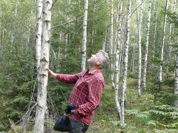 Cranab - 60 years of crane manufacturing - NordicWoodJournal